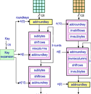 Blowfish vs. AES: What Is the Difference? - SecurityBind