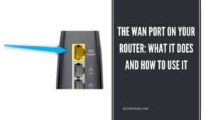 The WAN Port on Your Router: What It Does and How to Use it - SecurityBind